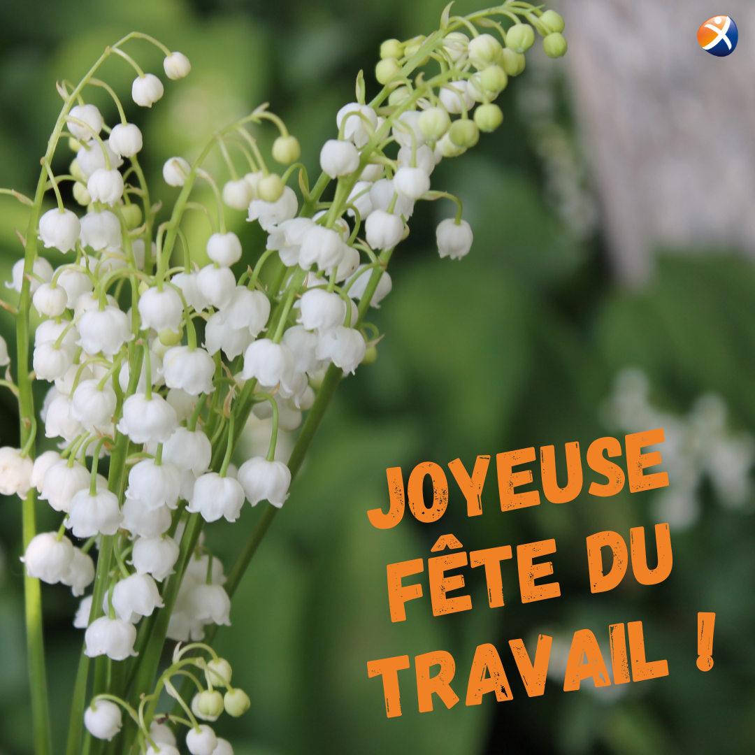 Axelis : agence interim Lyon - CDI CDD